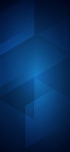 Overt and Covert Surveillance Services and Investigations