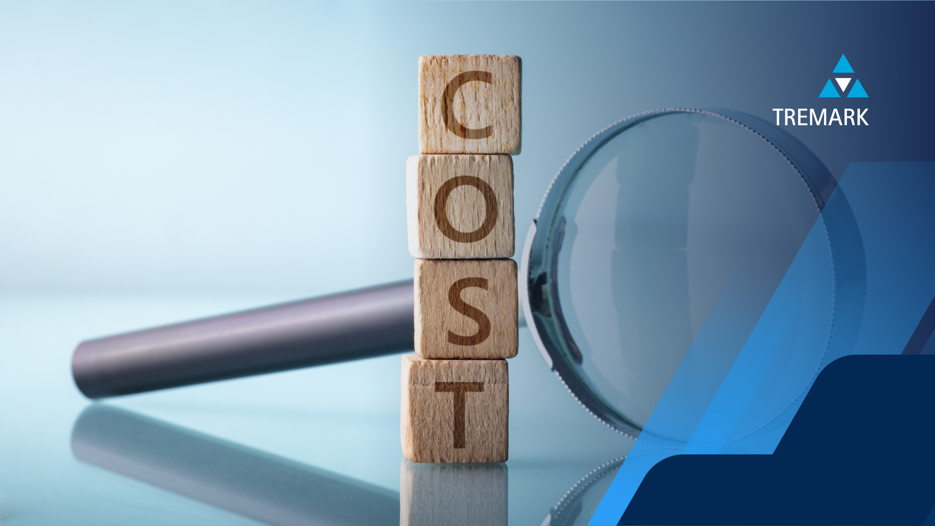 How Much Does a Process Server Cost? - Tremark